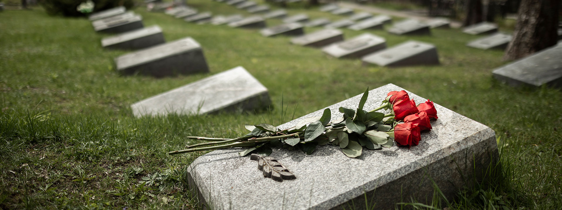Seguro Funeral: O Que É, O Que Cobre e Como Funciona